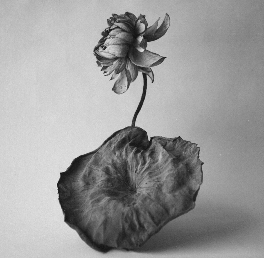 Imdad Barbhuyan – Blur The Border